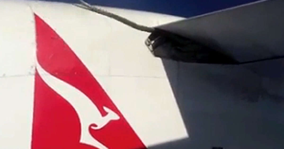 Snake on a plane: Python spotted on wing
