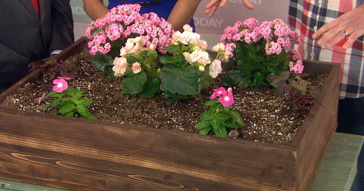 Spring has sprung! How to start your garden