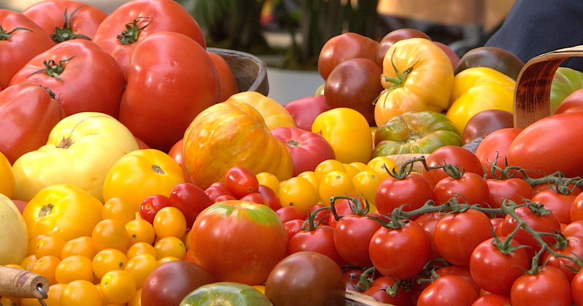 Tomatoes 101: Know your Romas from your red vines