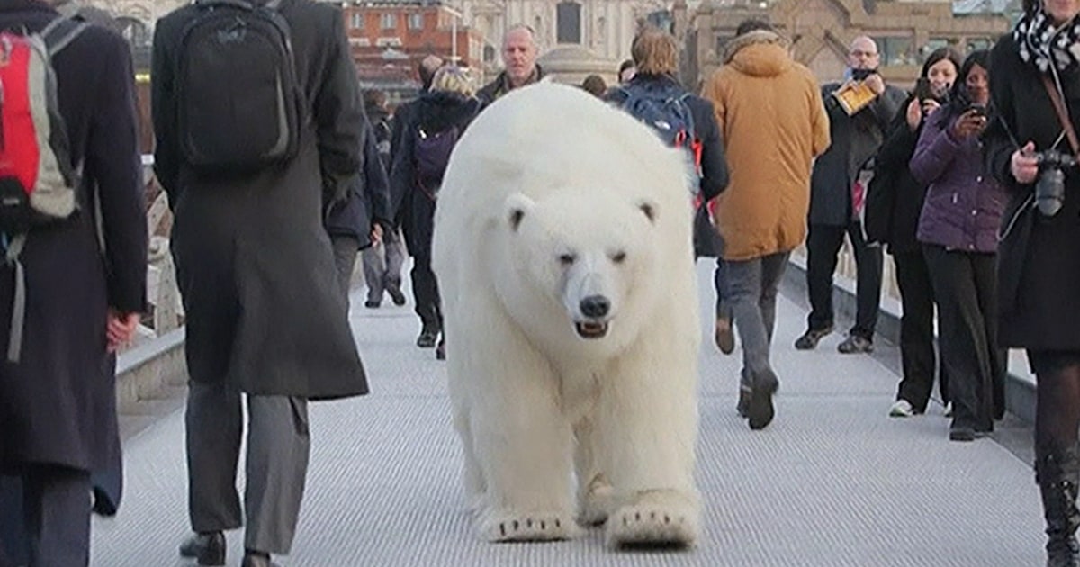 People in London do double takes after seeing a 'polar bear' walk streets