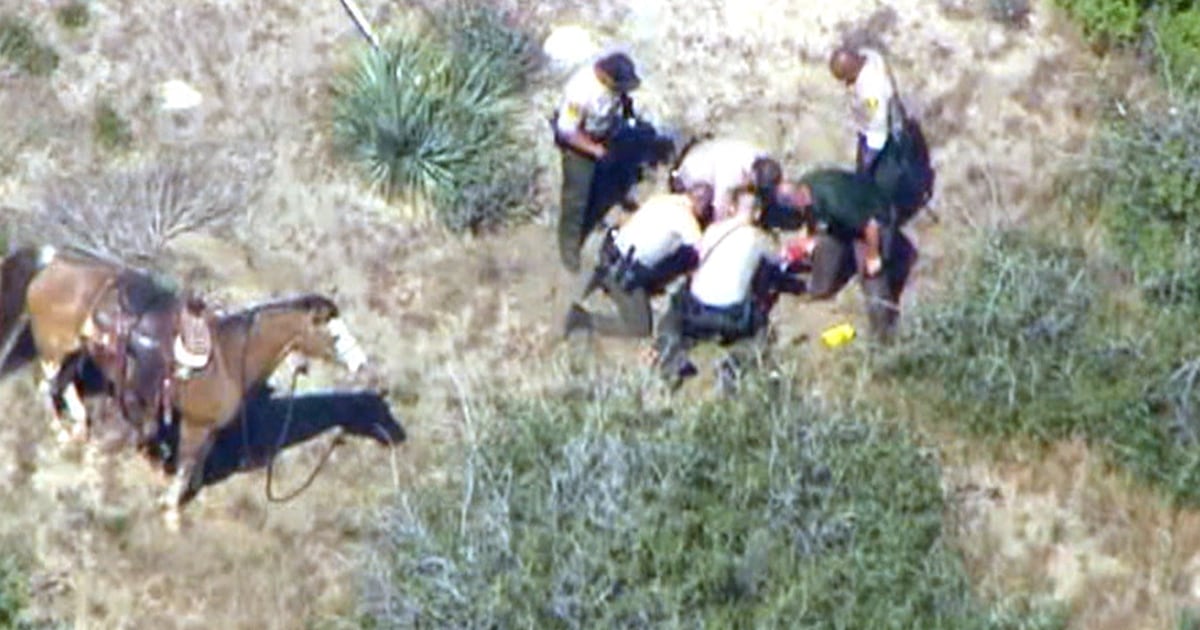 Violent police altercation is caught on camera