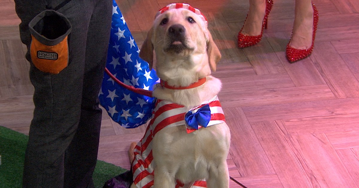 12 fun, festive items for your Memorial Day celebration