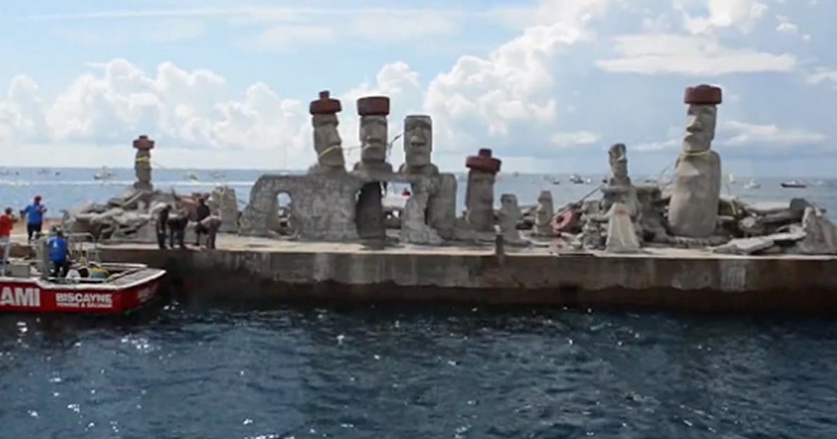 Botched reef project gets new life