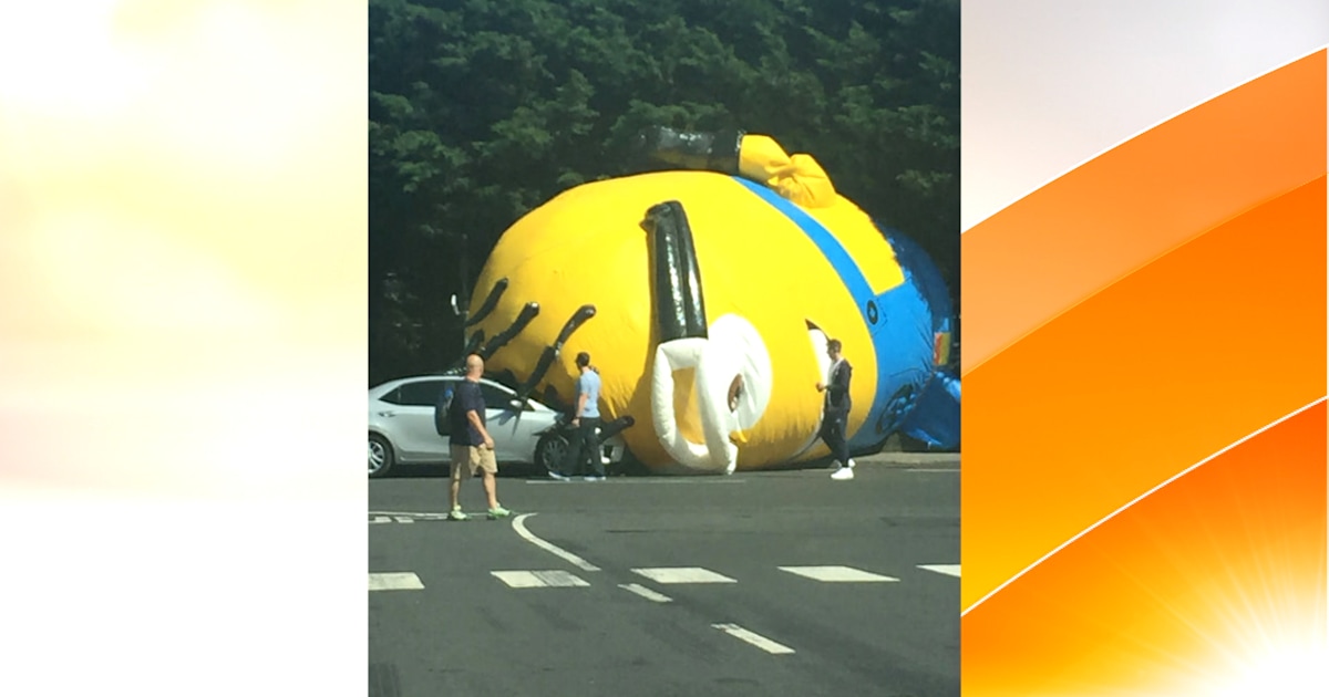 It’s ‘Despicable’: Giant Minion blocks busy road in Ireland