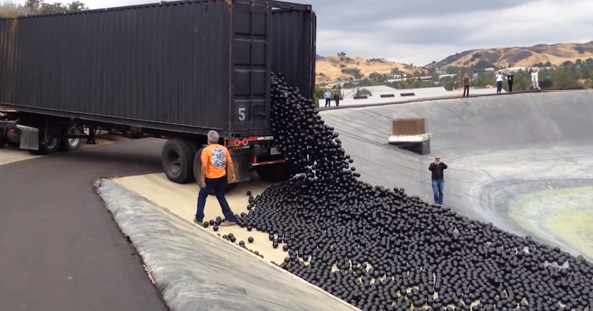 ‘Shade balls’ released into LA reservoir to fight drought