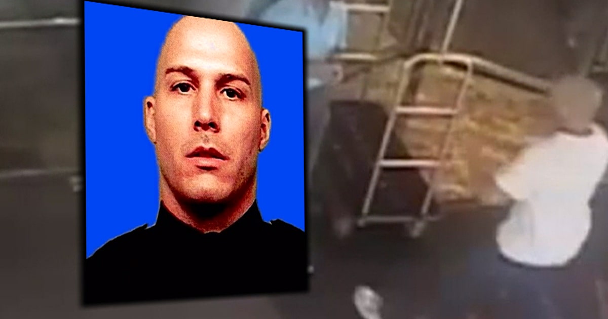 James Blake on mistaken arrest: Cop shouldn't get badge back