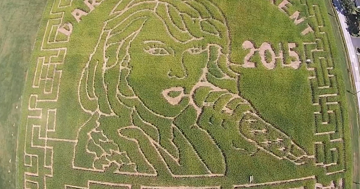 Huge Maryland corn maze pays tribute to Taylor Swift