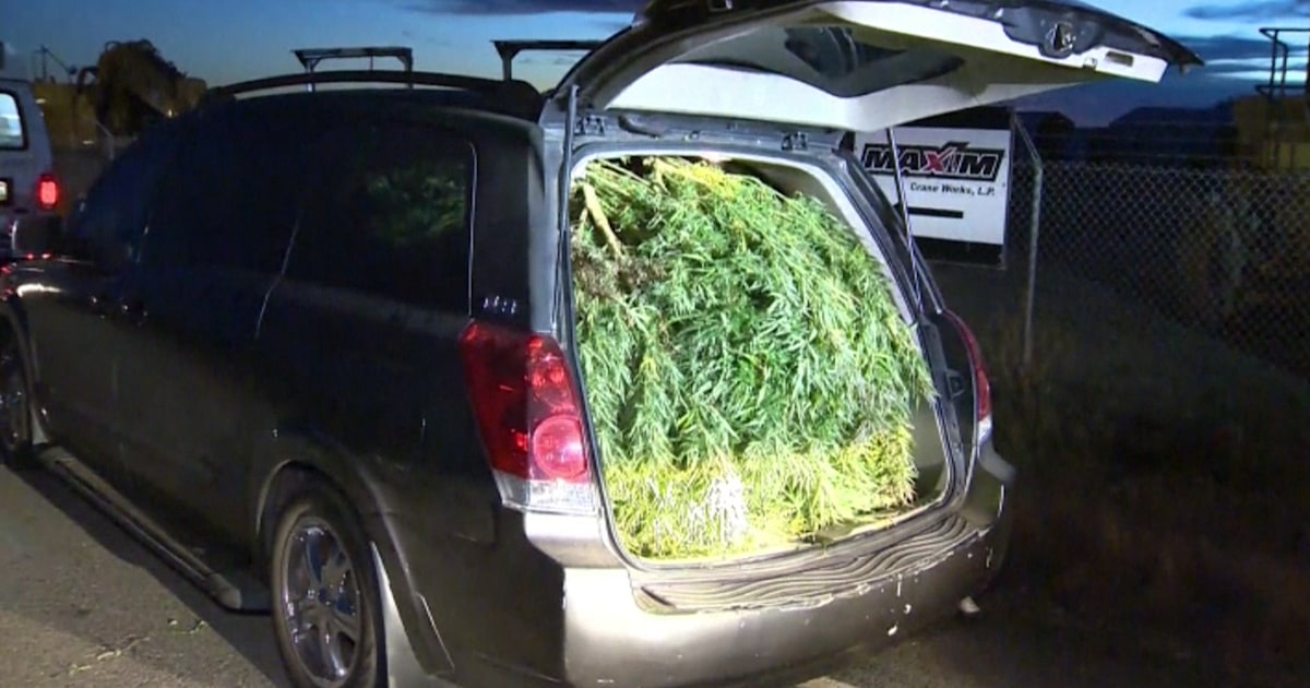 This minivan packs a lot of pot