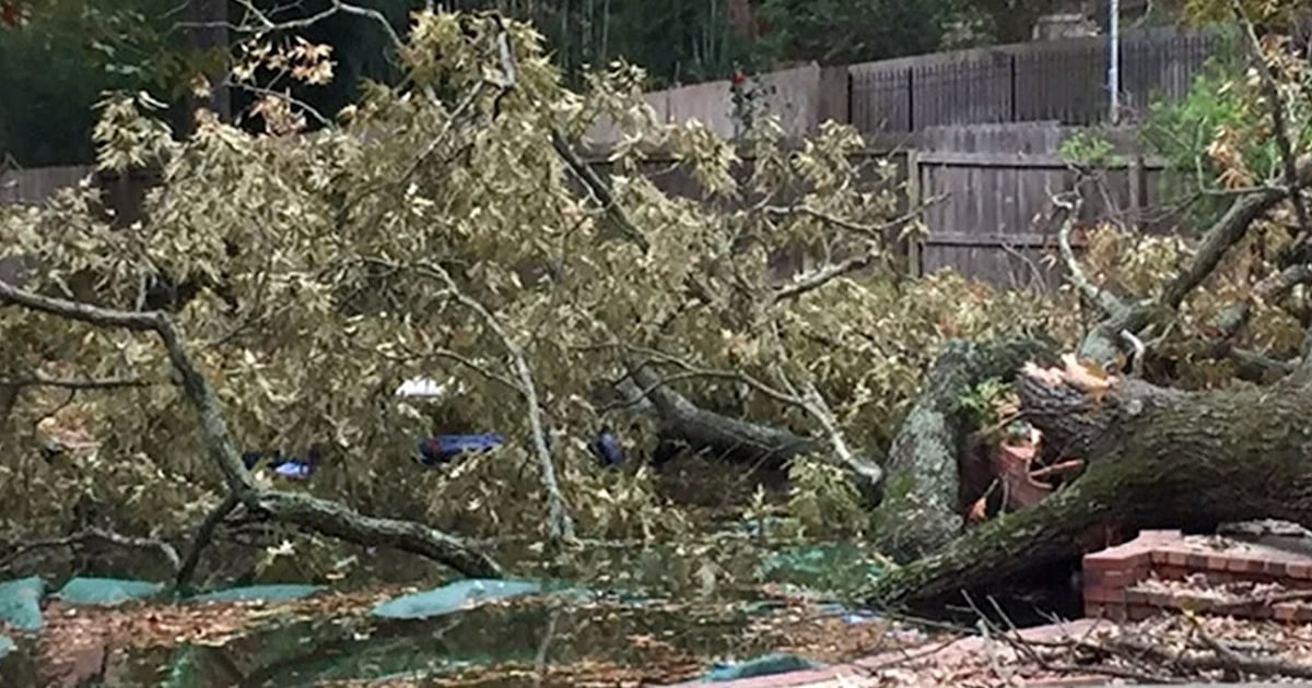 3 dead, thousands without power after Northwest windstorm