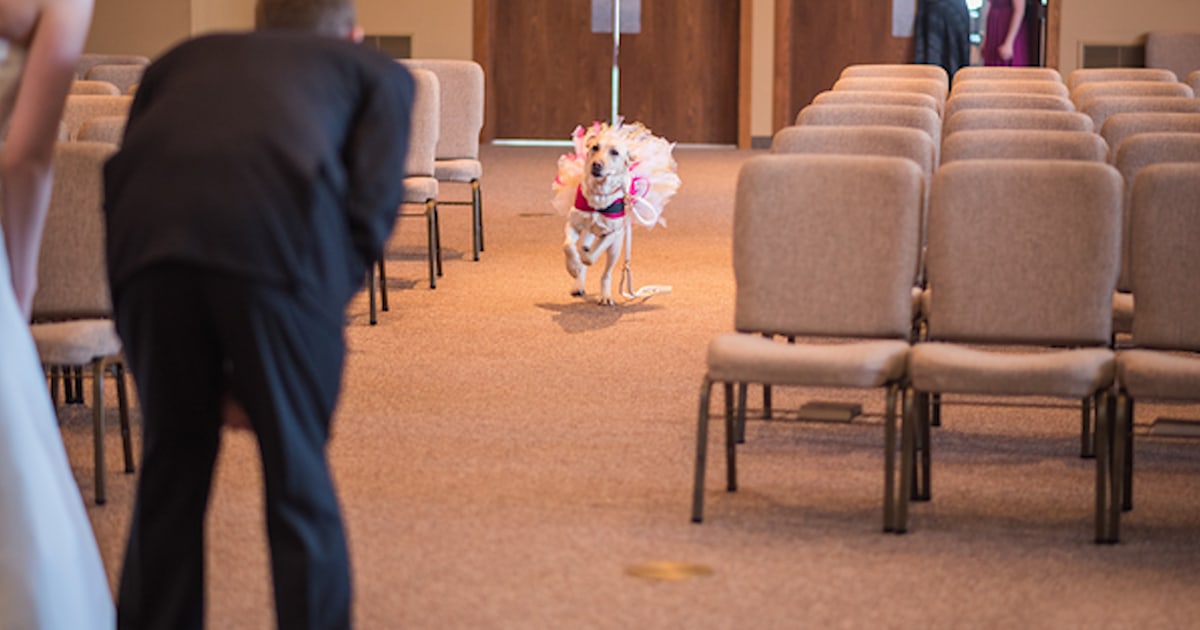 This bride and her dog are inseparable for the sweetest reason