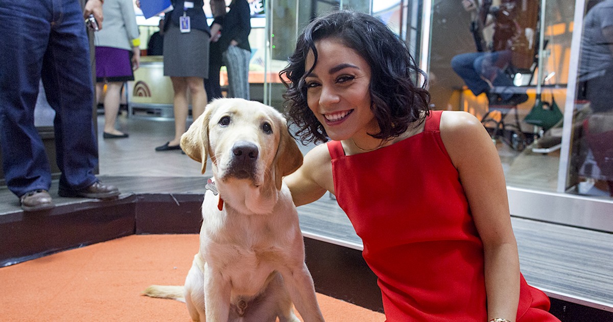 Watch Wrangler’s encounters with celebrities