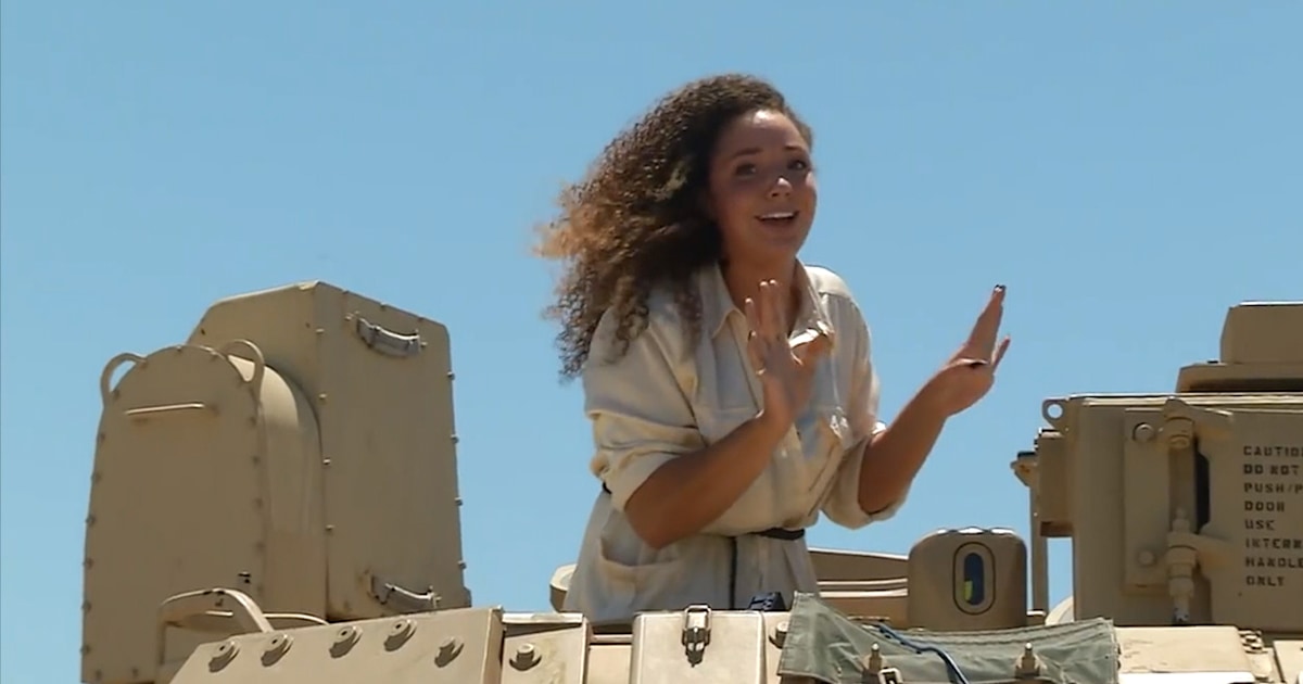 Watch: TV reporter attacked by cicadas