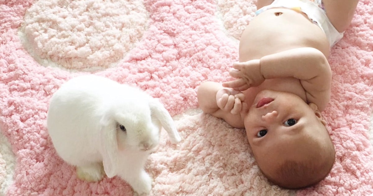 See a baby cuddle bunnies in adorable photographs