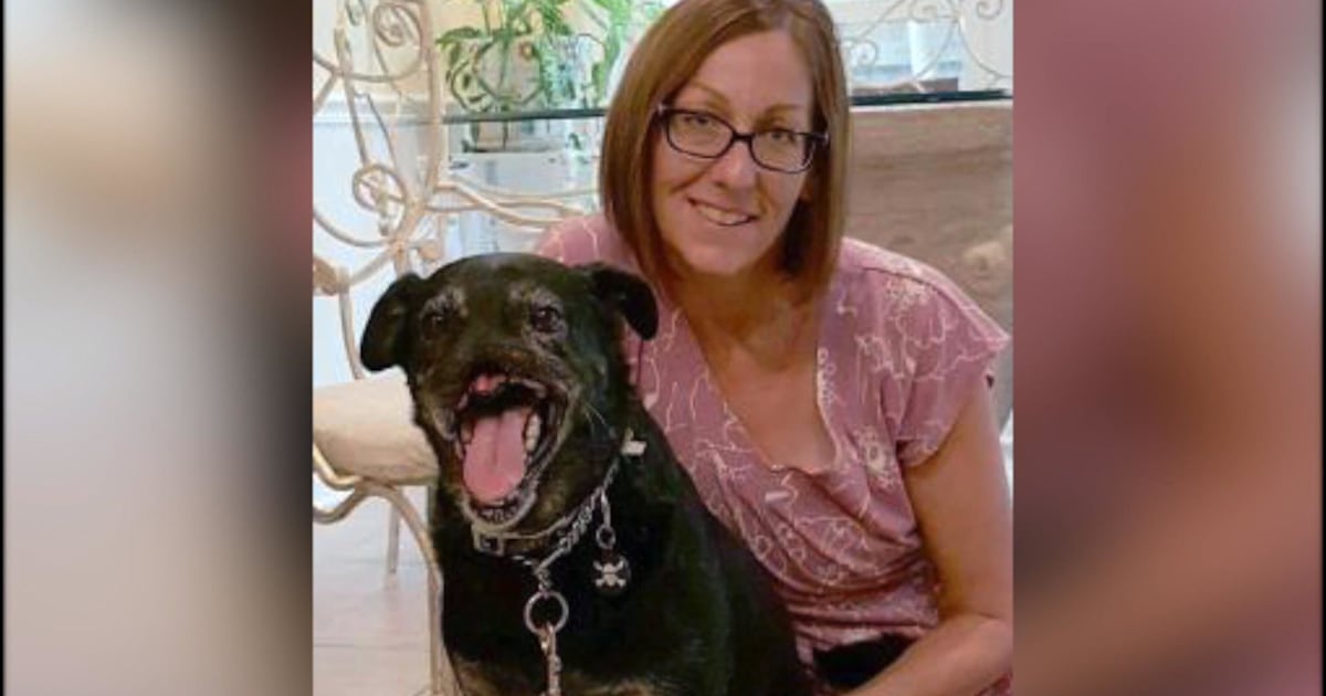 See how this dog found his forever home after tragic abuse