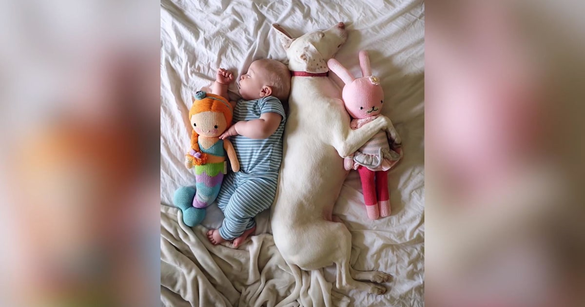 These cuddle buddies are blowing up Instagram