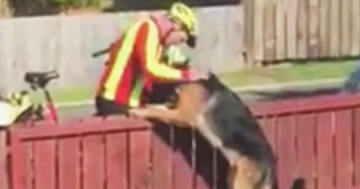 Watch this mailman make this dog’s day