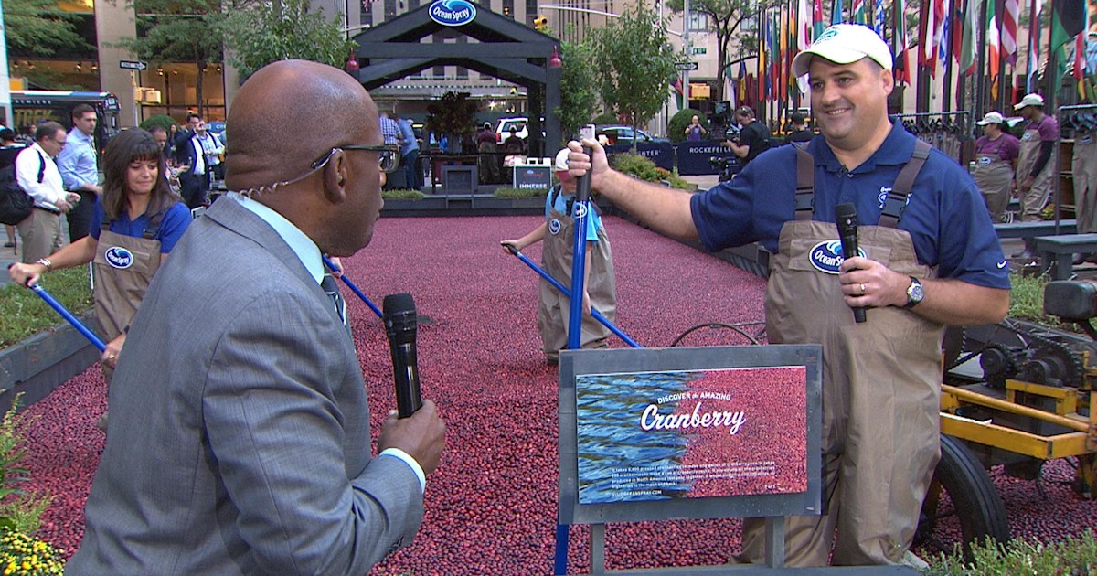 Ocean Spray sets up cranberry bog at 30 Rock for 12th year in a row