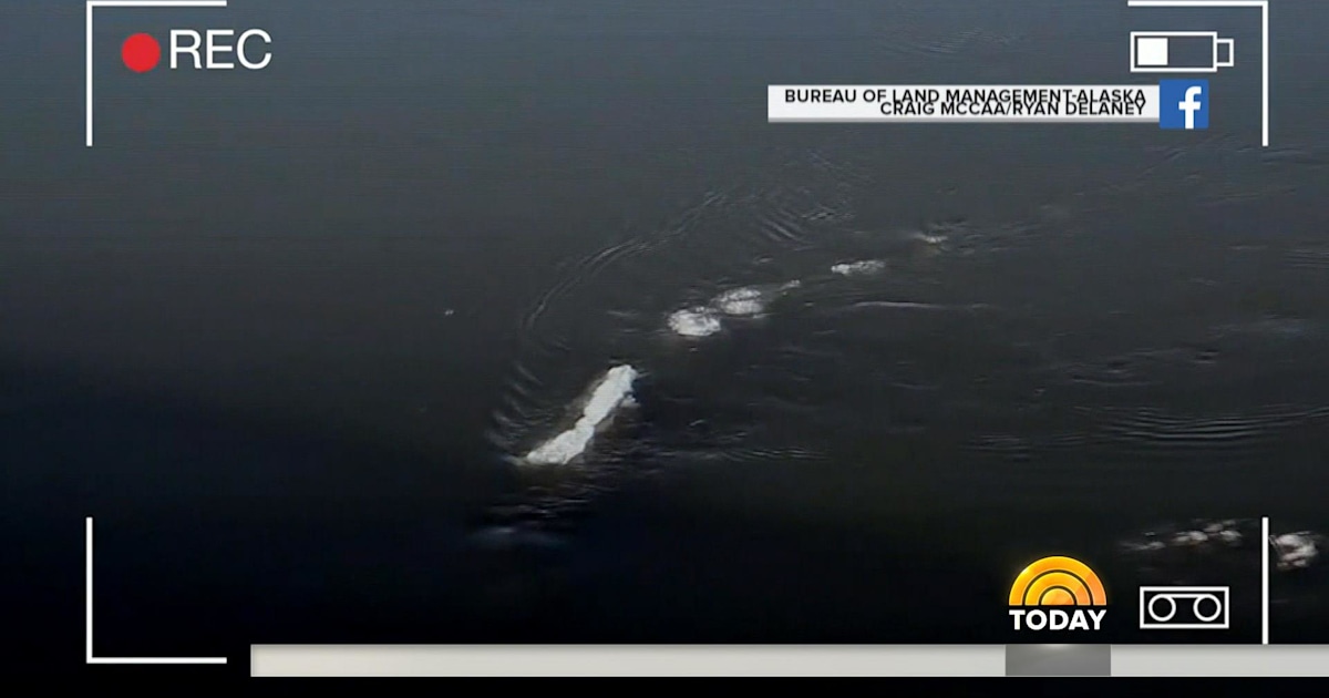 Is there a Loch Ness-like monster in an Alaska river?