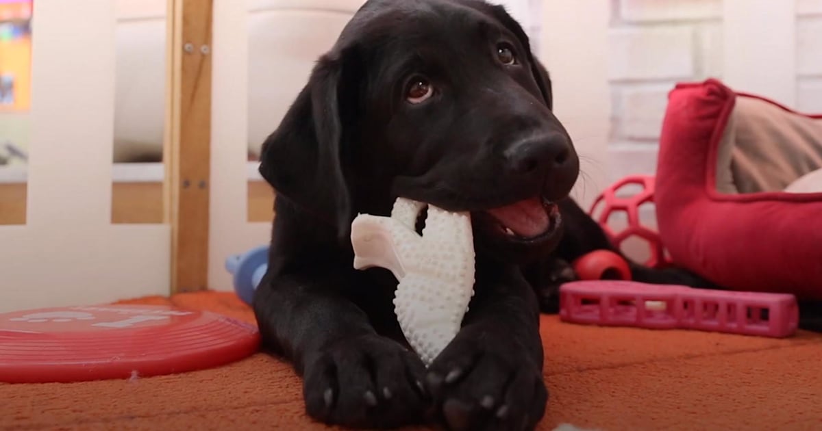 Here’s what Charlie’s morning looks like on TODAY
