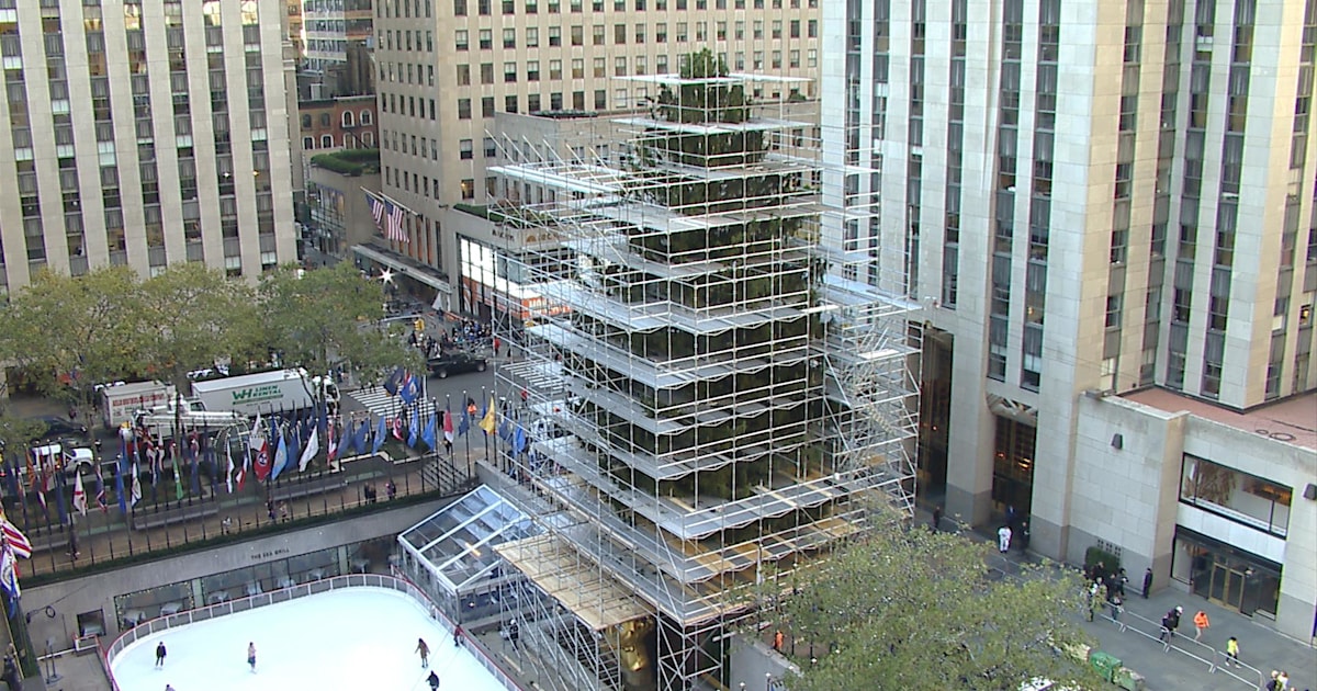 Watch the 94-foot Rockefeller Center Christmas tree arrive by truck