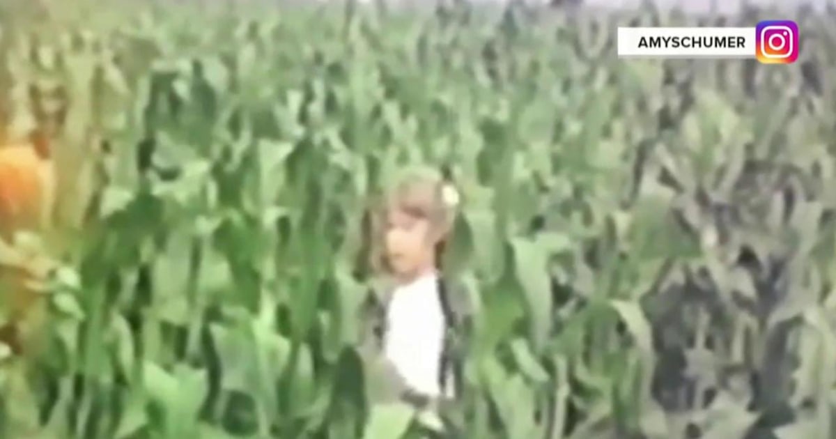 Amy Schumer buys back the farm her family lost – and gives it to dad