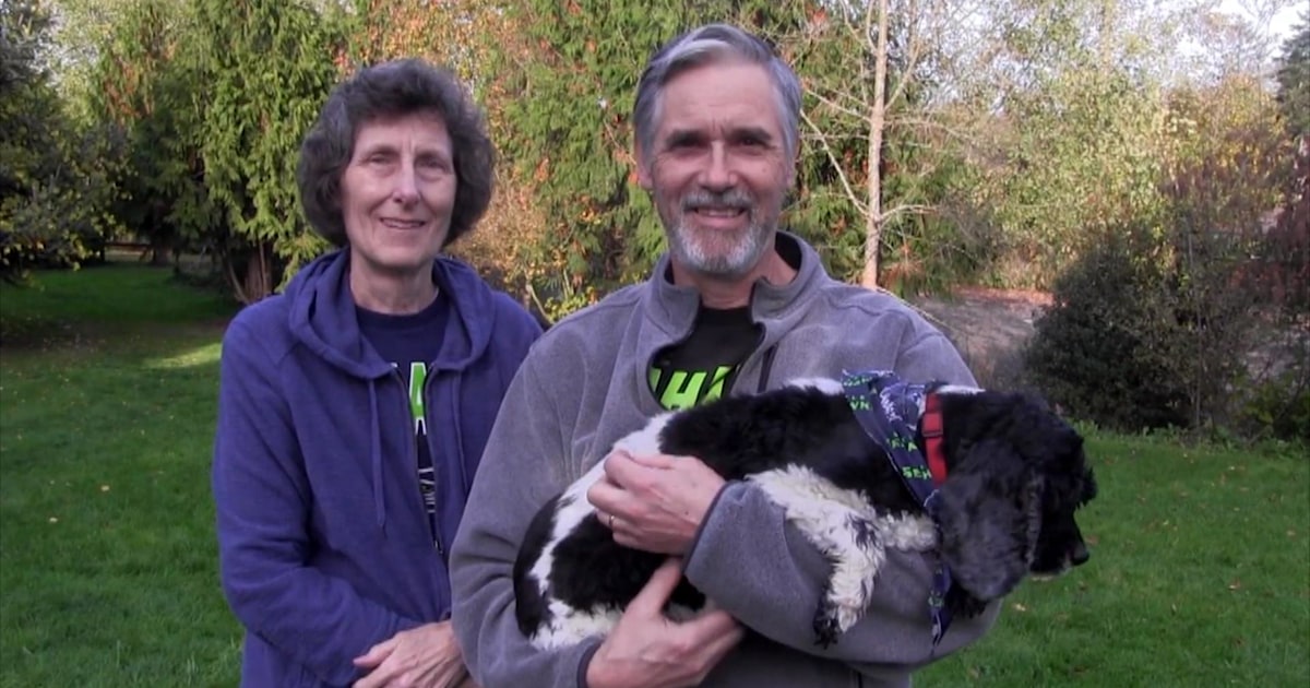 Old dogs get a second chance at life from inspiring couple