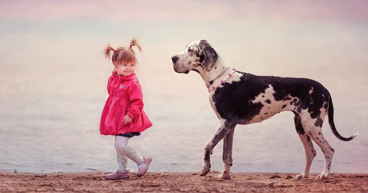 Little kids and their big dogs make a delightful pair