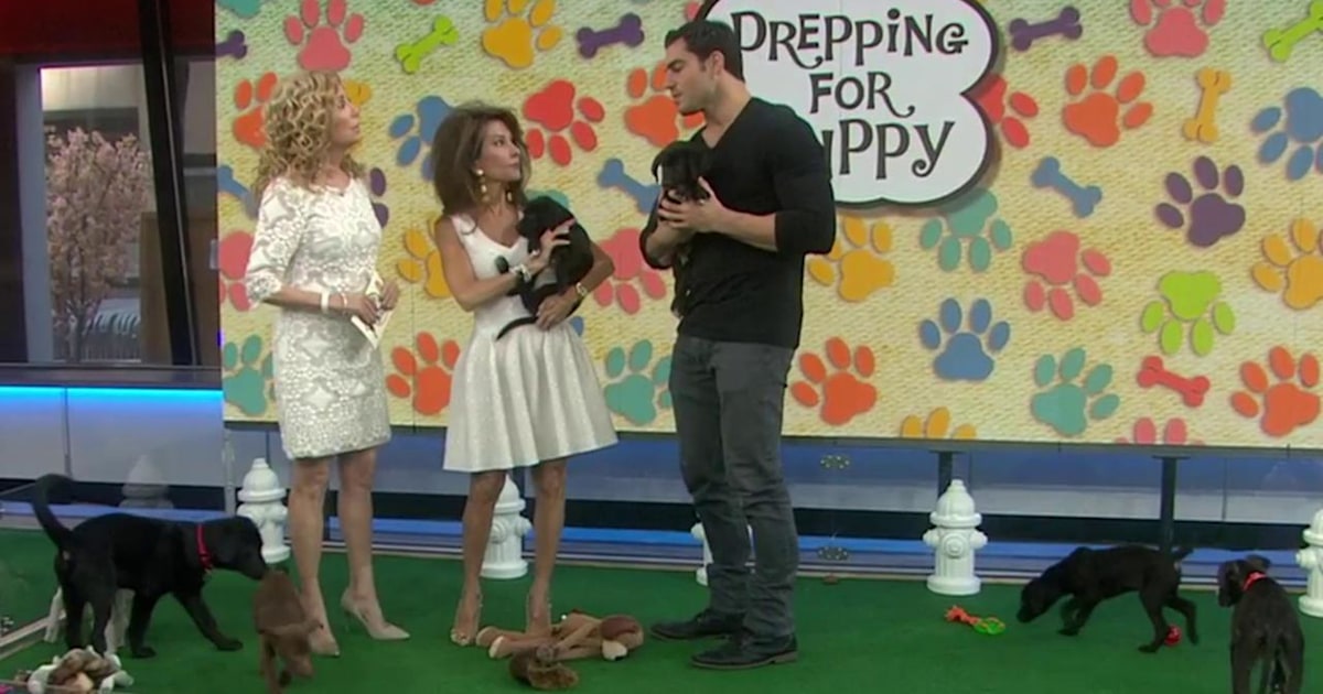 ‘Sexiest vet alive’ explains what you need to know before adopting a puppy