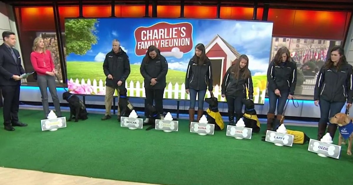 See TODAY puppy Charlie’s family reunion with mom, dad and siblings