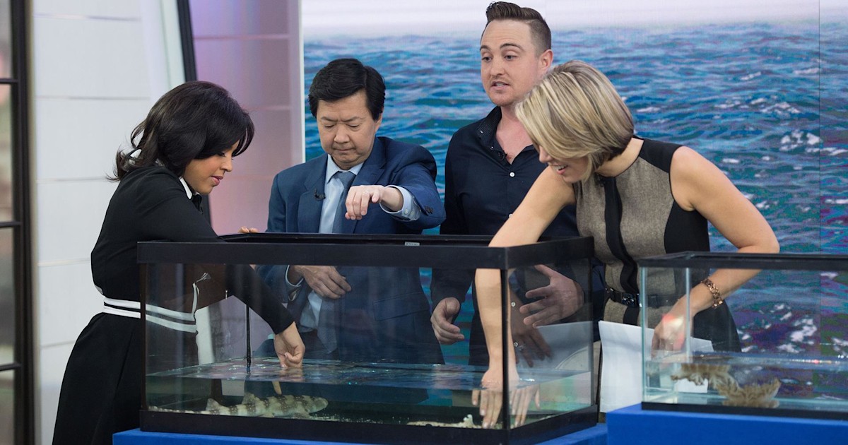 Meet the only shark in the world that walks and other colorful creatures