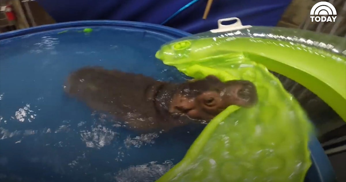 Fiona’s water adventures continue!