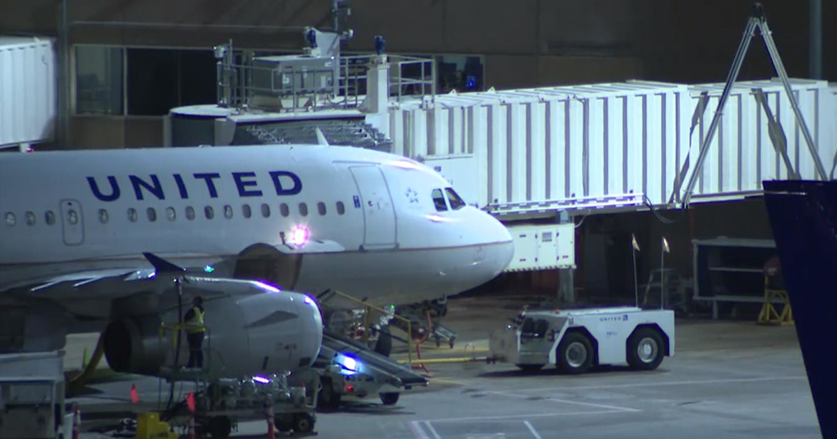 Scorpion scare aboard United plane delays flight