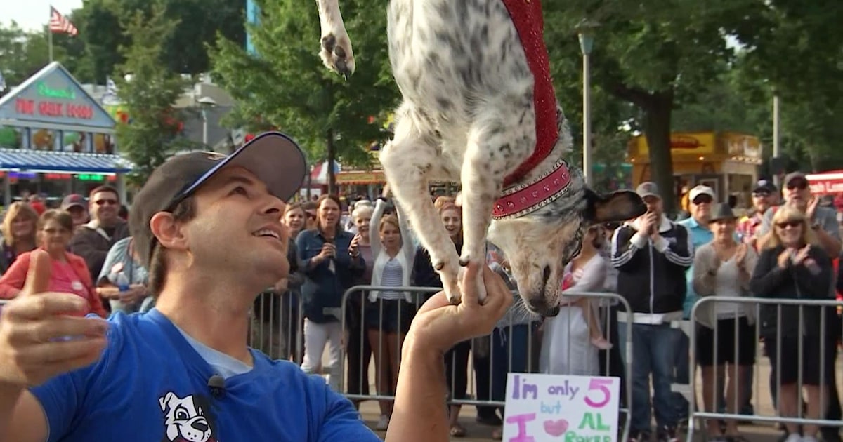 Watch this dog do a ‘paw-stand’ for Al Roker at Minnesota State Fair