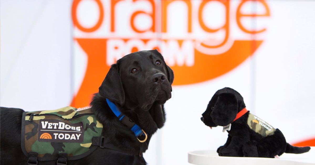 TODAY puppy Charlie introduces his stuffed toy to support veterans