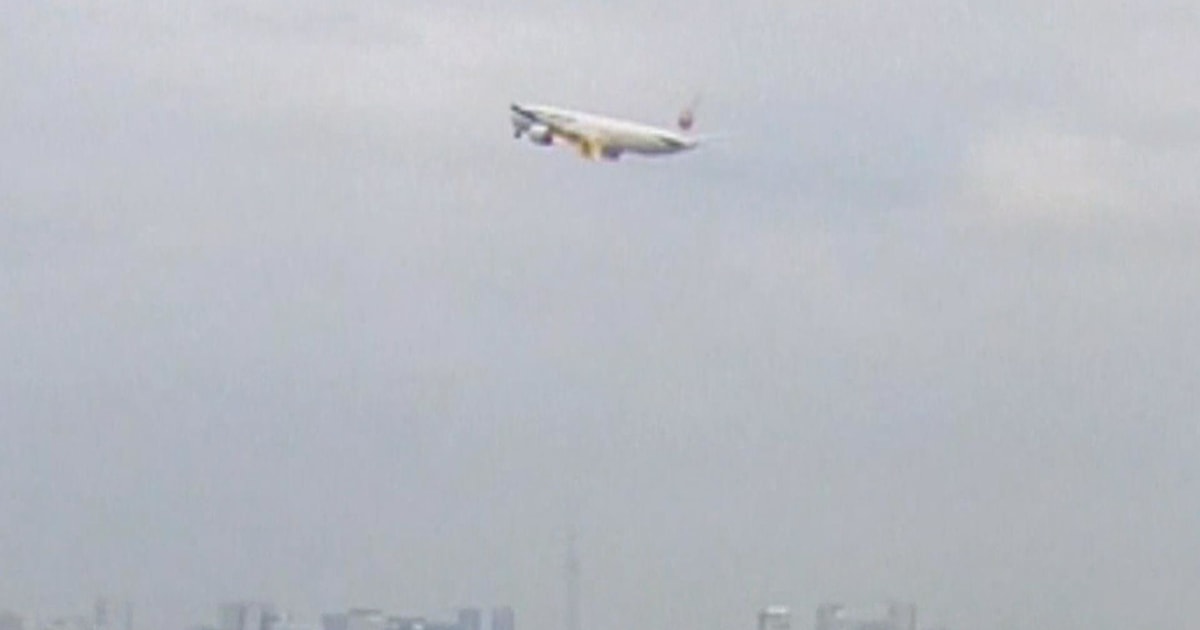 Caught on camera: Bird strike prompts emergency landing