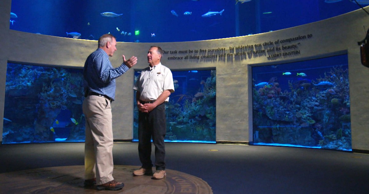 Bass Pro Shops founder wants to hook more people on the great outdoors