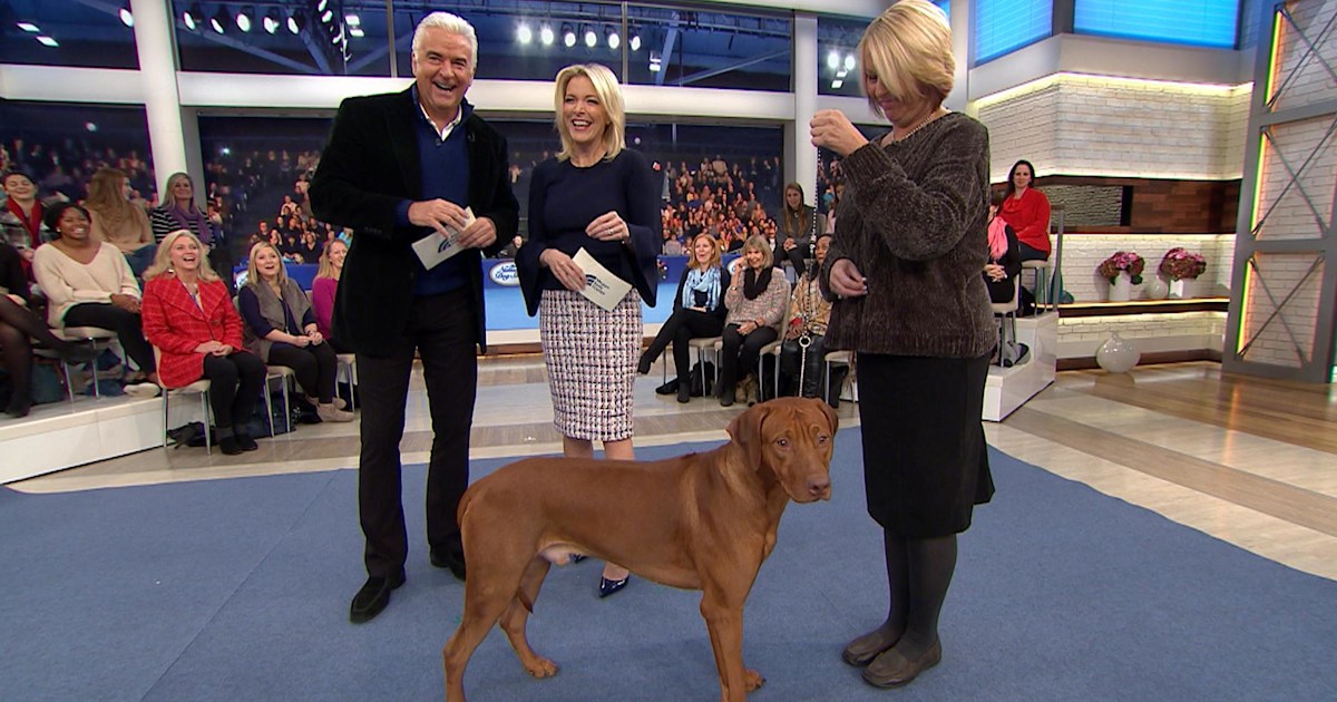 John O’Hurley previews the National Dog Show and its furry contestants