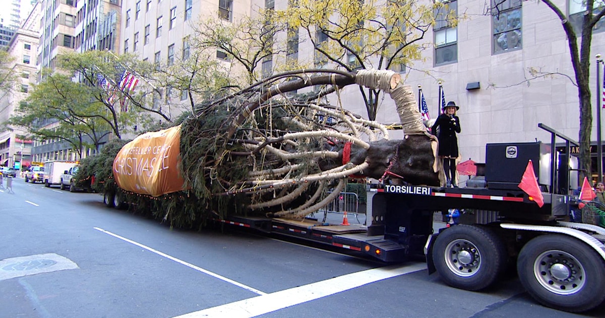 Rockefeller Center Christmas tree arrives to the plaza live on TODAY