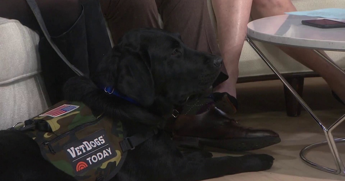 TODAY pup Charlie heads off to train with his veteran