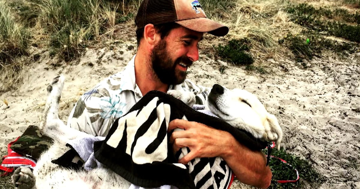 How a Marine and a stray dog rescued each other in Afghanistan