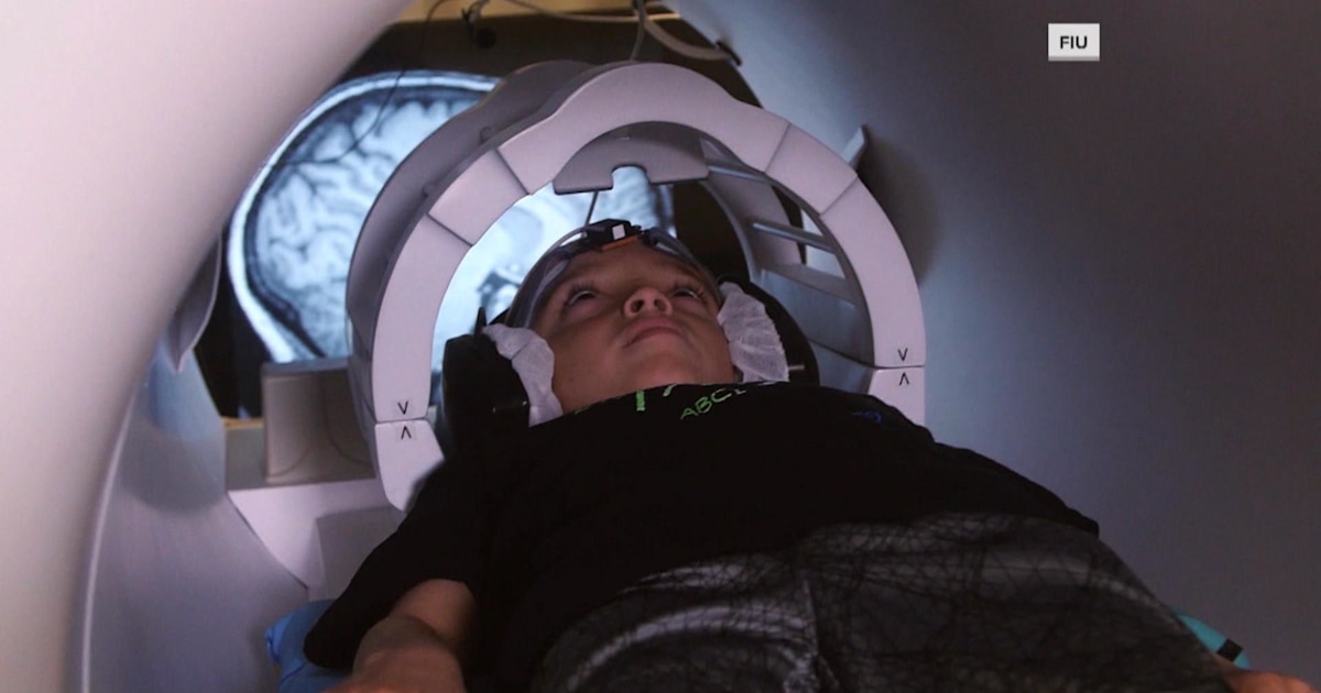 New study looks at how teen brains function