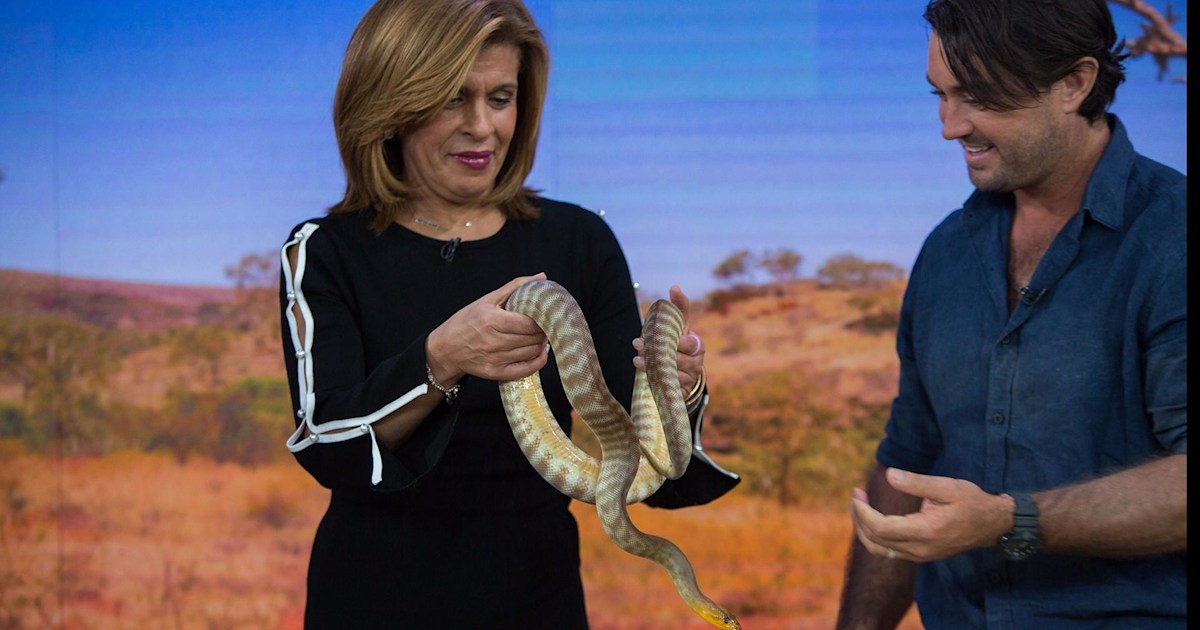 Watch brave Hoda Kotb meet a python up close and personal