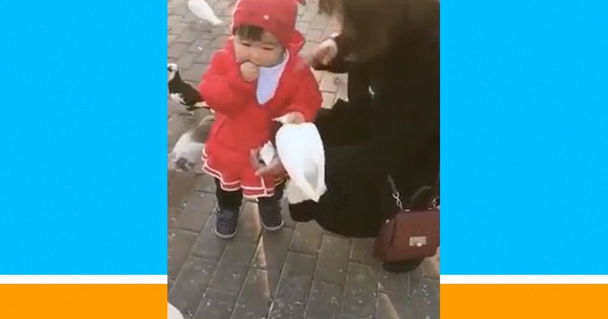 Bird grabs this tot’s snack, but she grabs it right back!