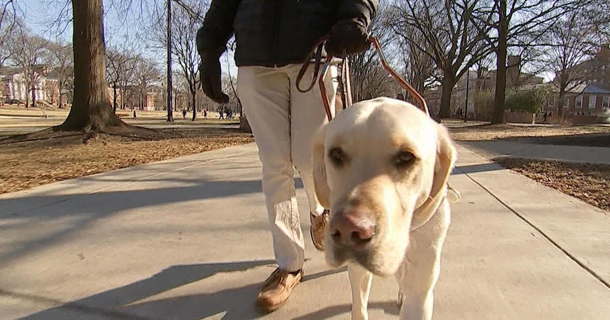 How guide dogs changed 2 peoples’ lives for the better