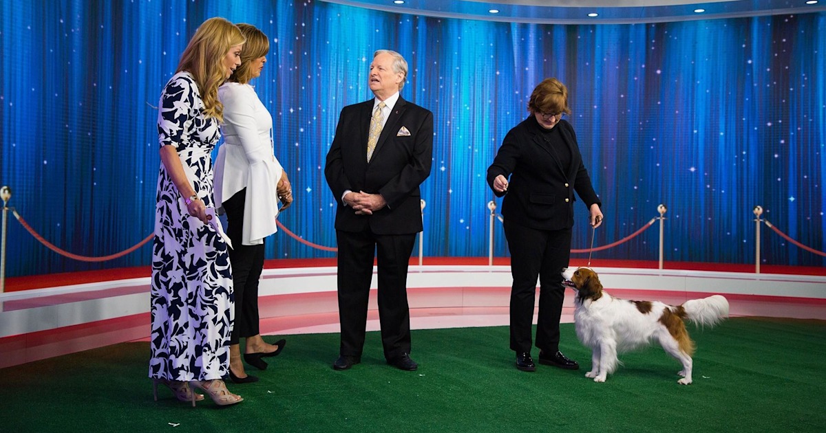 Check out the best furry and four-legged stars of the ‘Beverly Hills ...