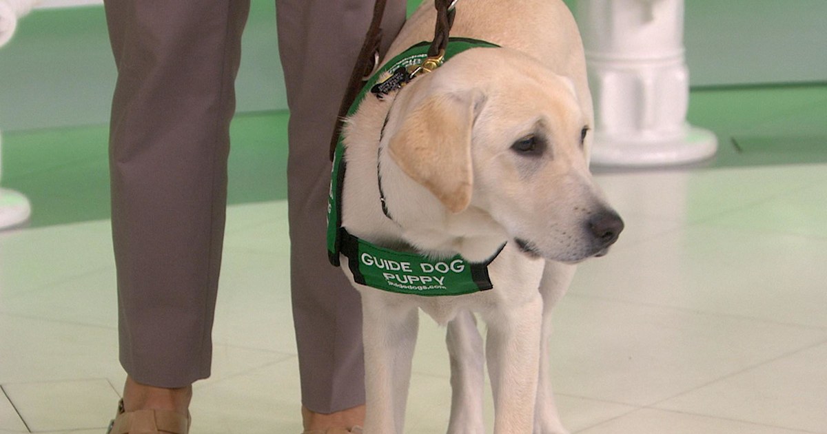 Take a look at the documentary ‘Pick of the Litter,’ which follows ...