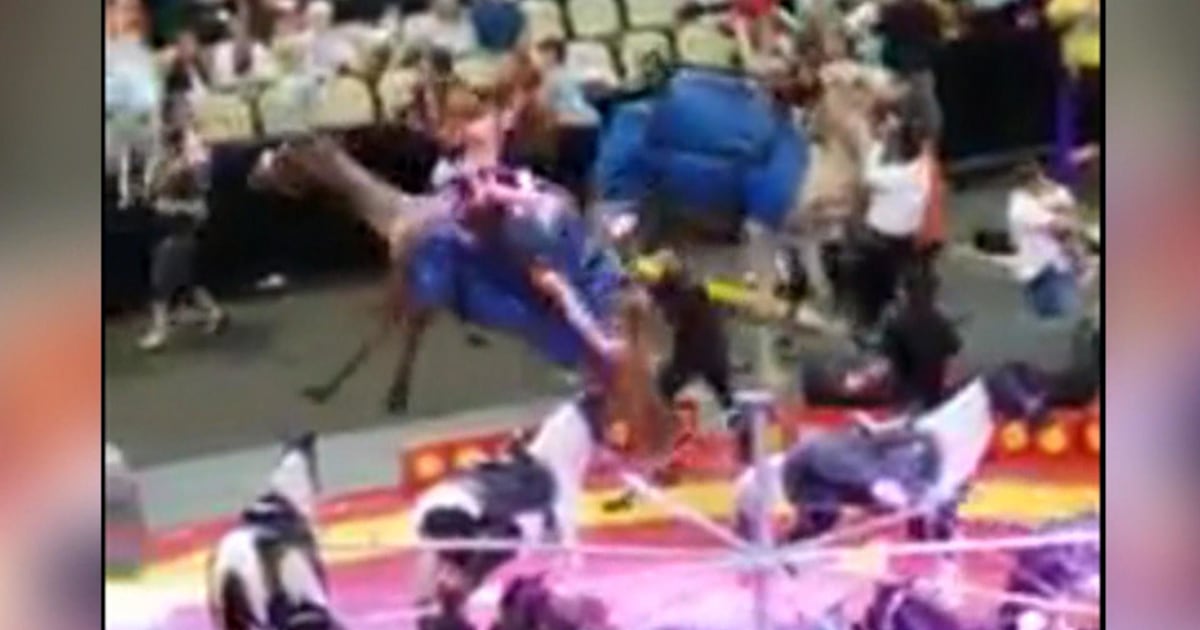 6 kids injured by bucking camel at Pittsburgh circus