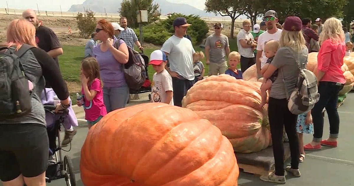 Massive pumpkins on display at Utah contest