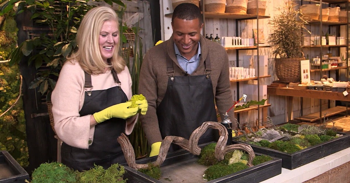 Craig Melvin takes his passion for plants to Westport’s Terrain