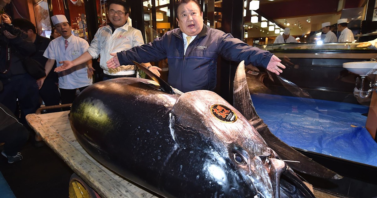 Bluefin tuna sells for record $3 million at Tokyo fish market